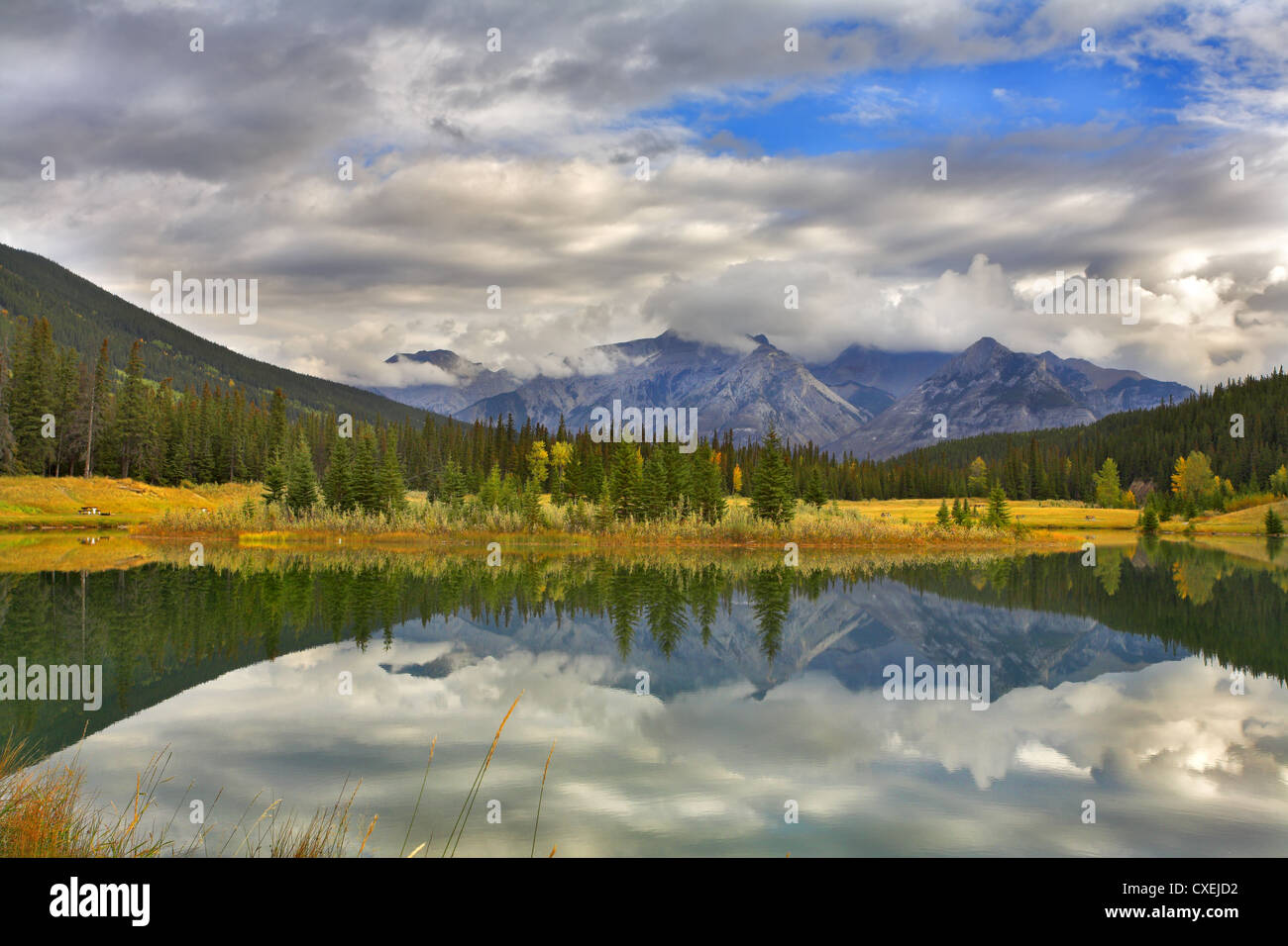 Silent pattern hi-res stock photography and images - Alamy