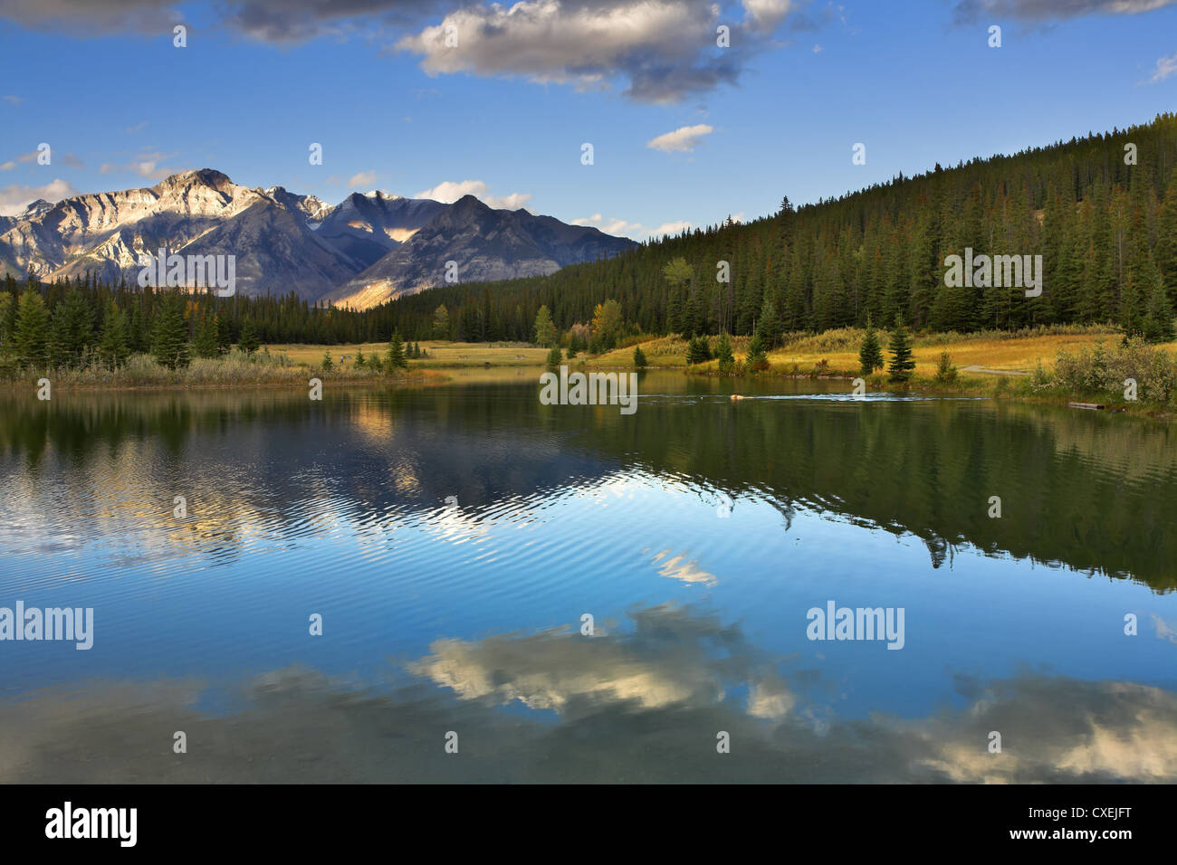 Deep blue stone hi-res stock photography and images - Alamy