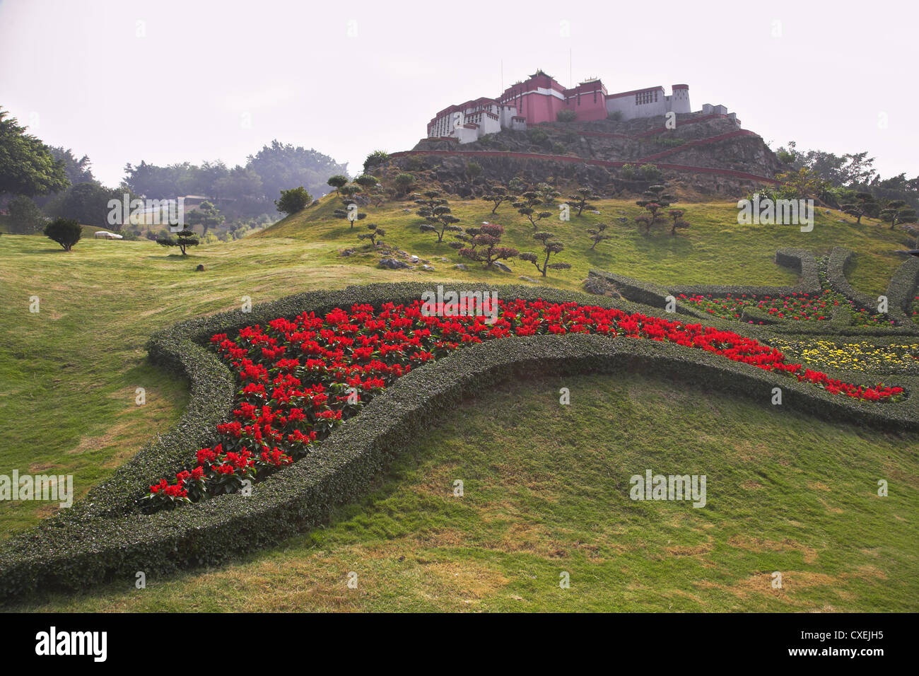Magnificent bright red flower bed Stock Photo - Alamy