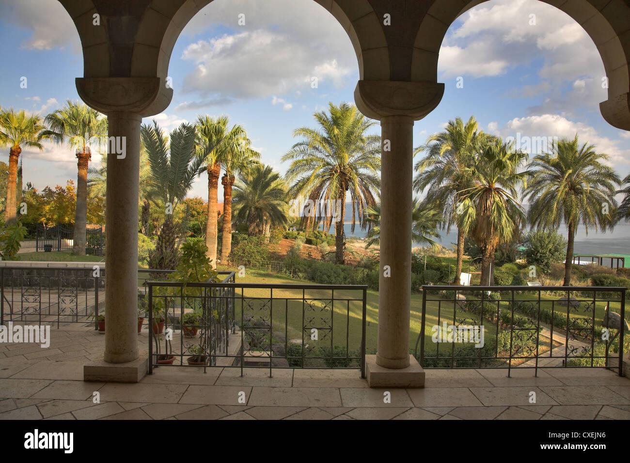 Palm trees and columns Stock Photo - Alamy
