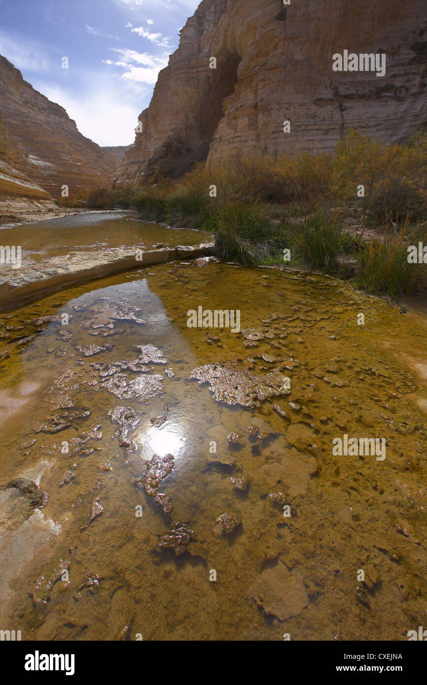 Bog rock hi-res stock photography and images - Alamy