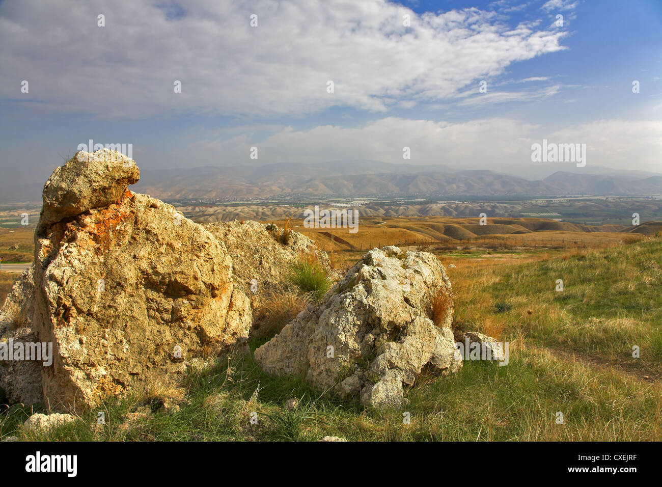 Vegetation and stones hi-res stock photography and images - Alamy