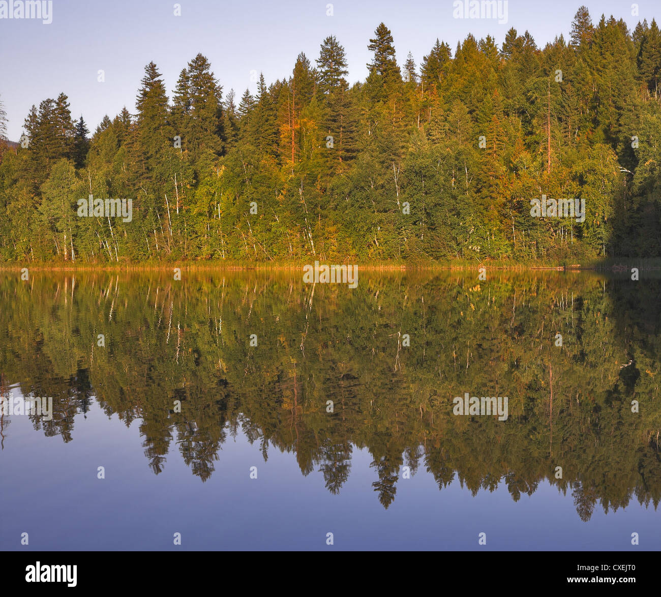 Reflections of autumn Stock Photo - Alamy