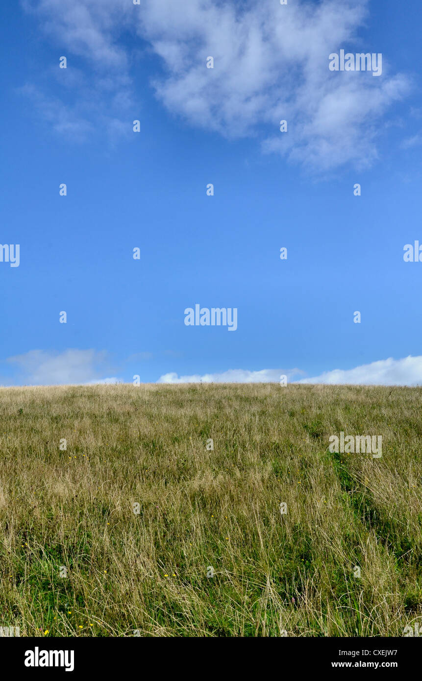 Green fields of England concept. Summer field with lightly clouded sky ...