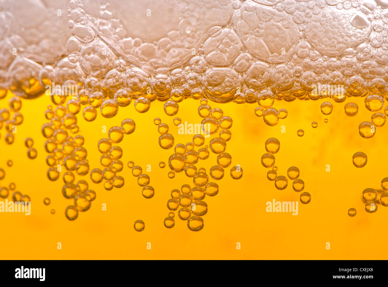 Bubbles beer cool beer bottle hi-res stock photography and images - Alamy