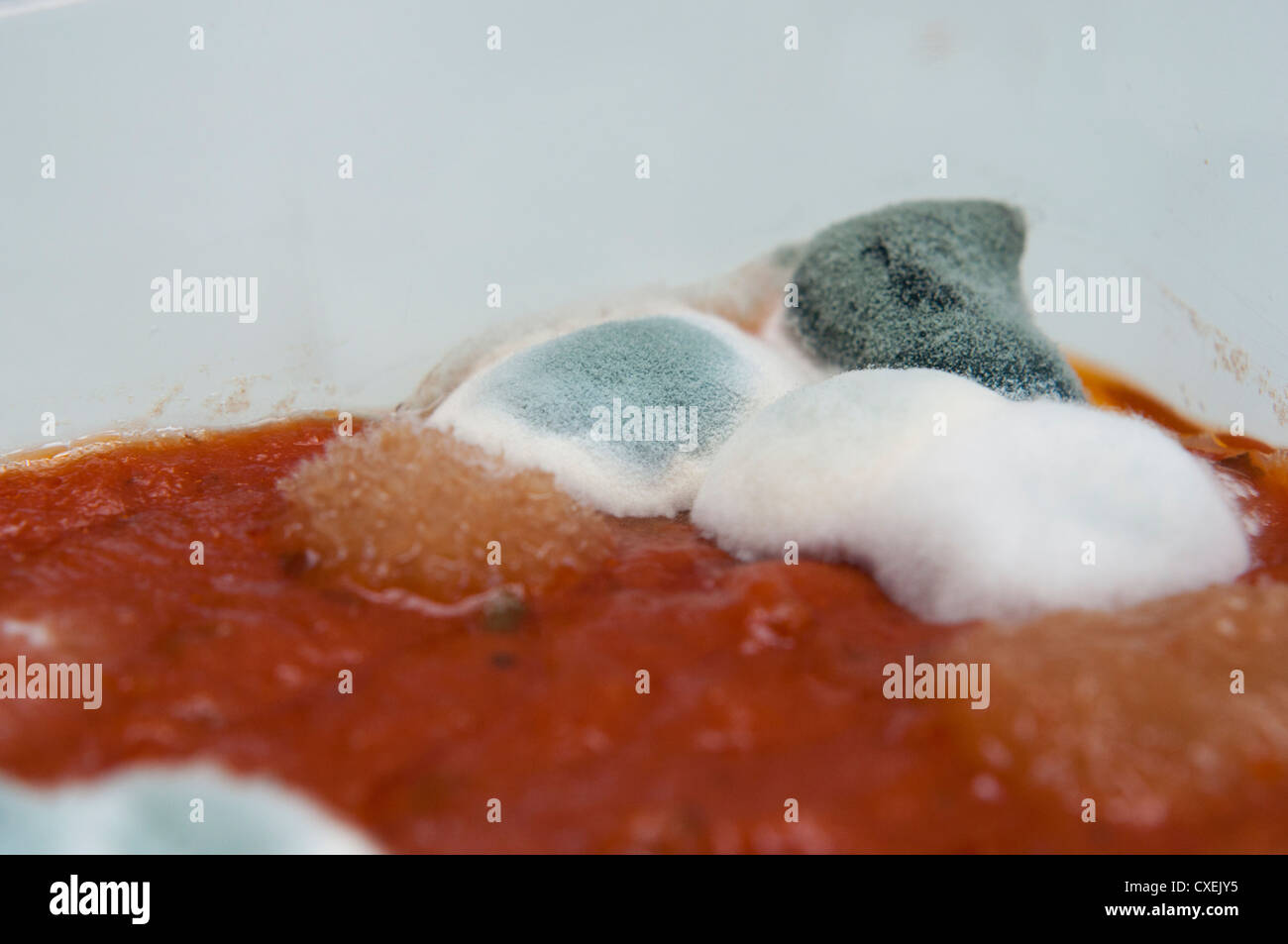 Mouldy food hi-res stock photography and images - Alamy