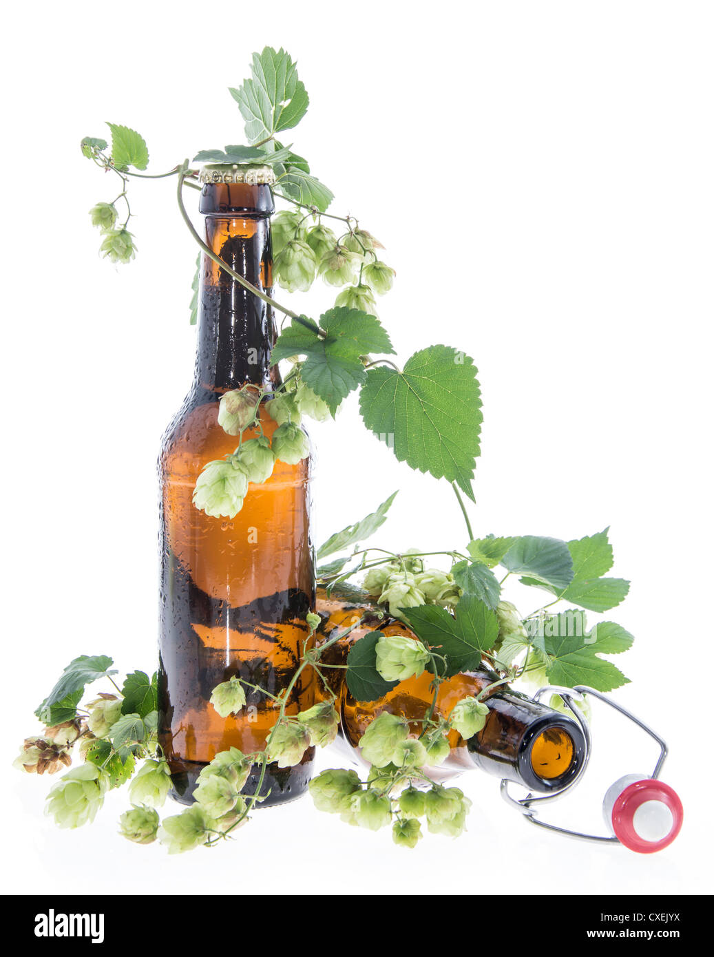 Liquid hops Cut Out Stock Images & Pictures - Alamy