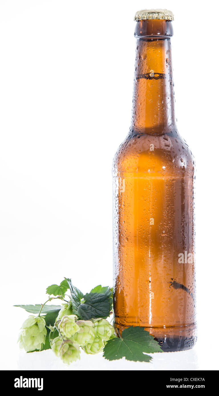 Wet bottle of Beer isolated on white background Stock Photo - Alamy