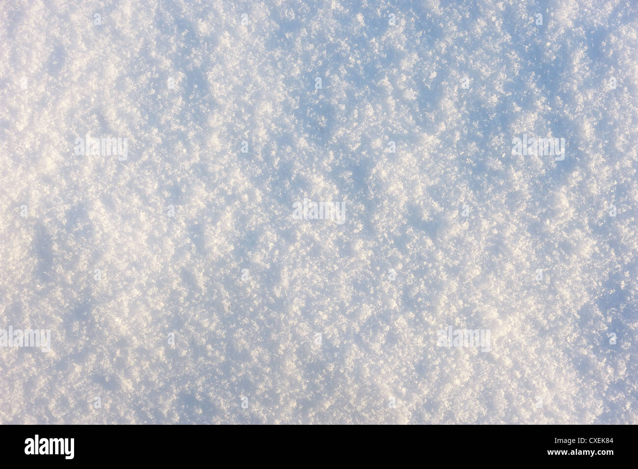 Frosty winter day, blade with a rime Stock Photo - Alamy
