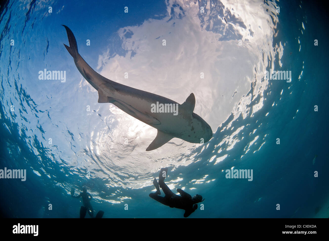 Ocean between surface hi-res stock photography and images - Alamy