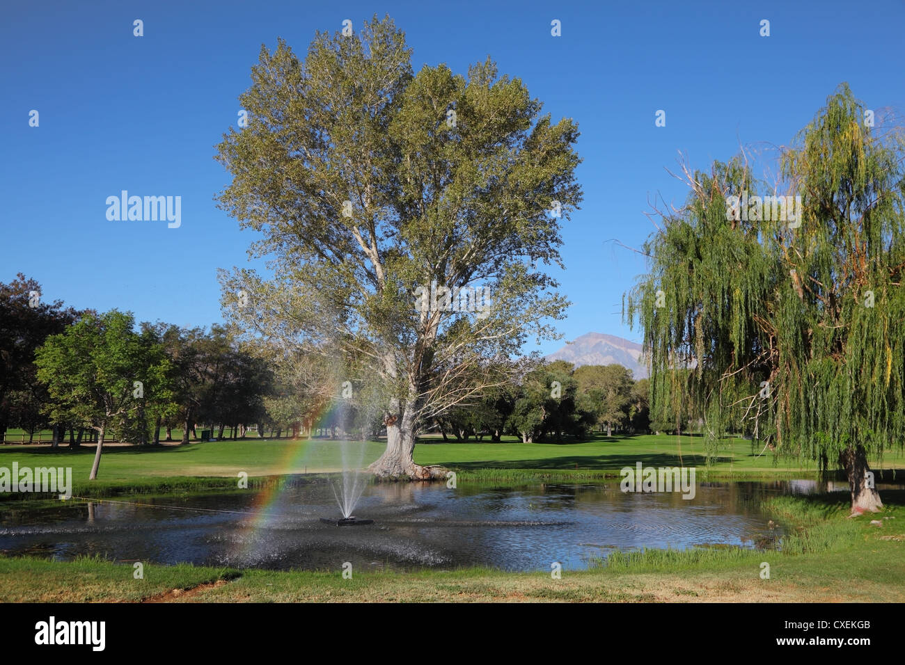 The fountain and trees Stock Photo - Alamy