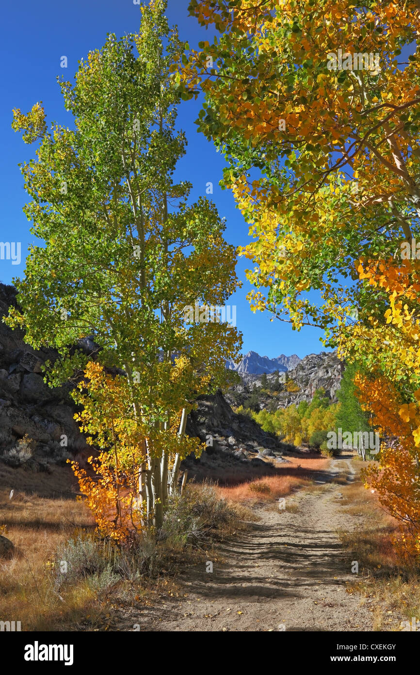 Beautiful fall colors Stock Photo - Alamy