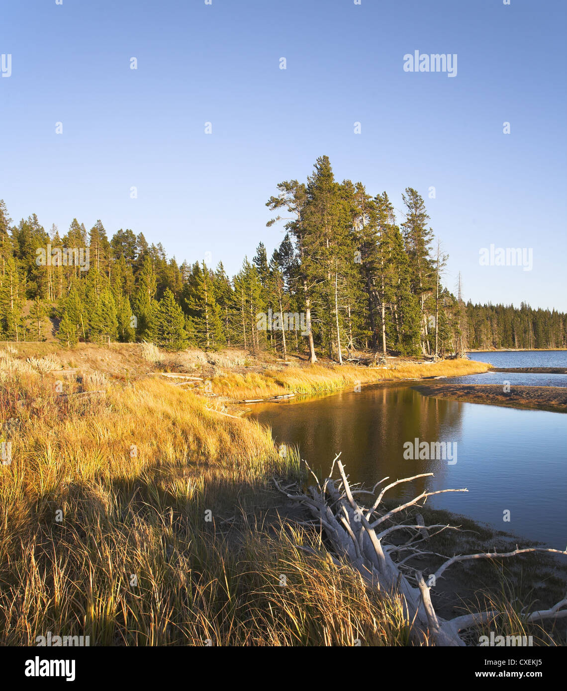 Gentle evening light Stock Photo - Alamy