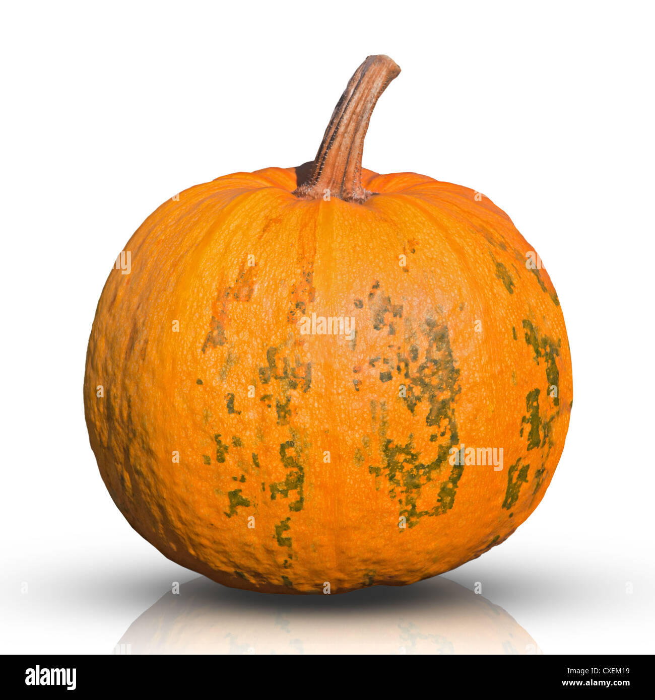 pumpkin isolated on white Stock Photo - Alamy