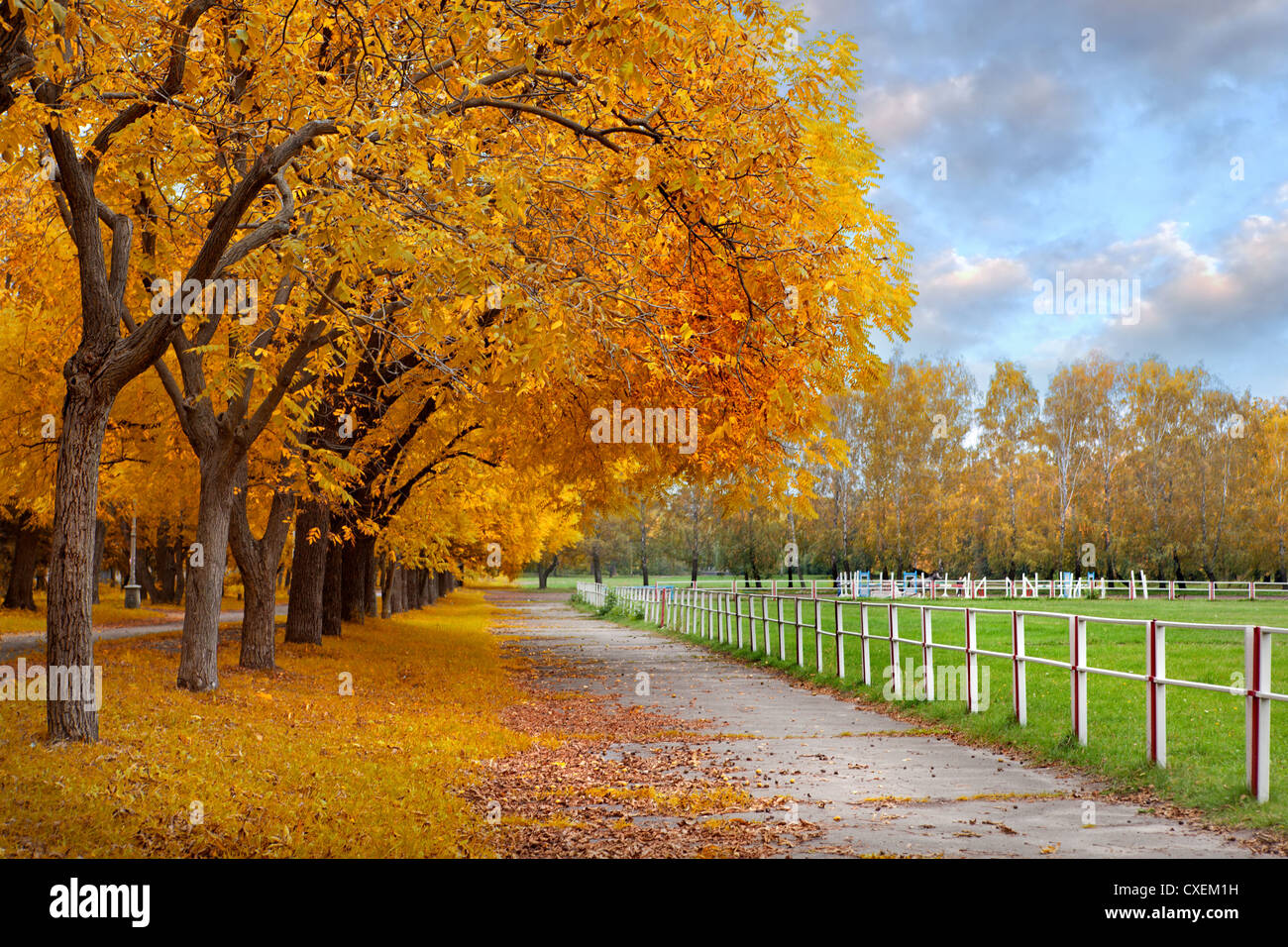 Autumn in a park Stock Photo - Alamy