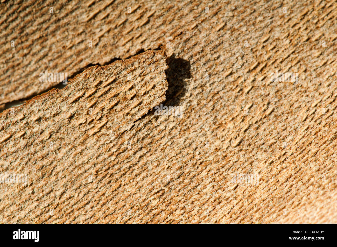Tree crust close up for background Stock Photo - Alamy