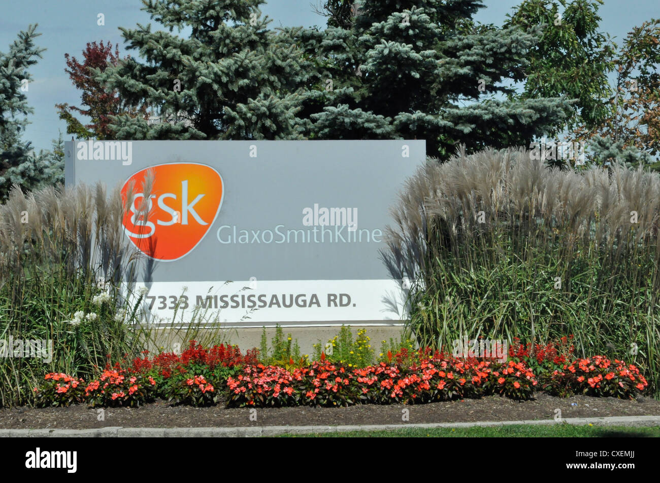 Sign of GSK Stock Photo - Alamy