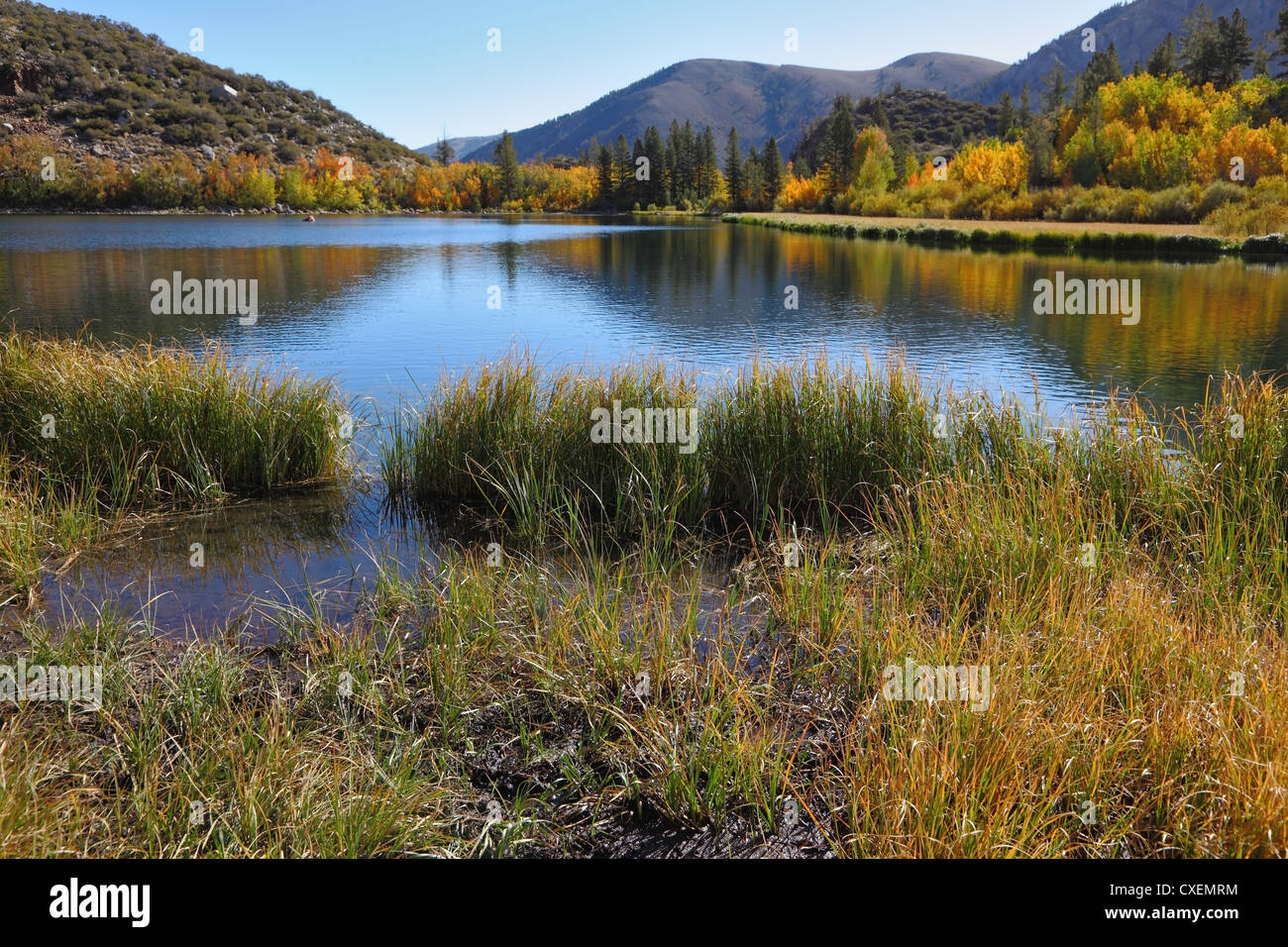 Pretty blue lake Stock Photo - Alamy