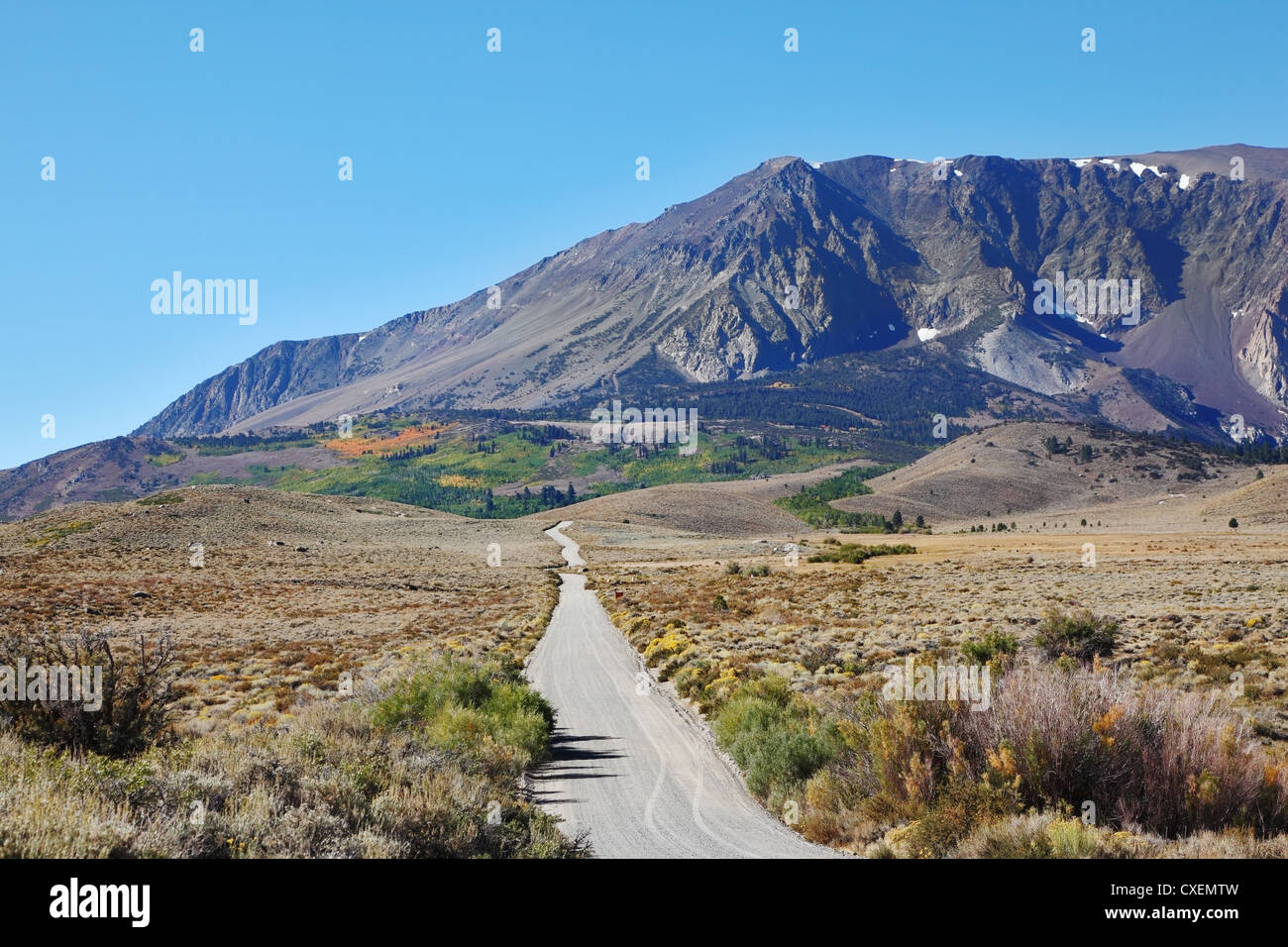 The narrow road Stock Photo - Alamy