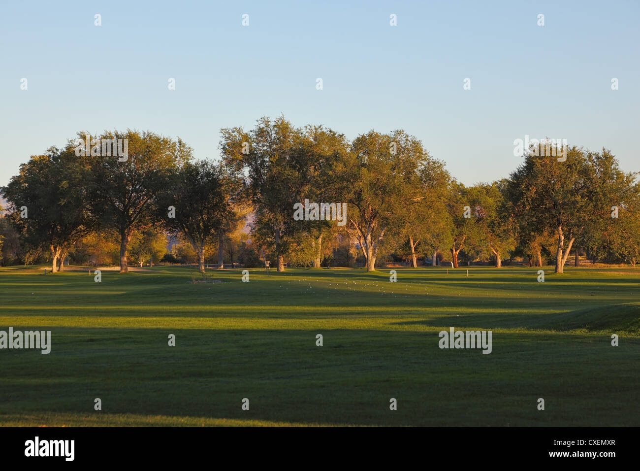 A green golf course and trees Stock Photo - Alamy
