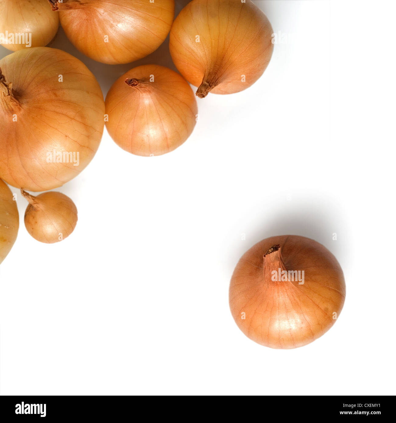 onion isolated on white Stock Photo - Alamy