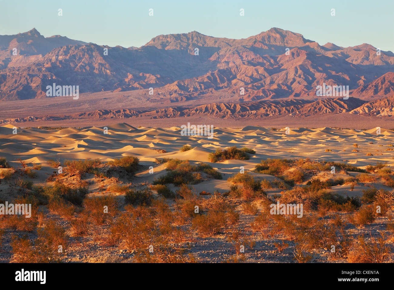 Soft, sandy waves lit by the rising sun Stock Photo - Alamy