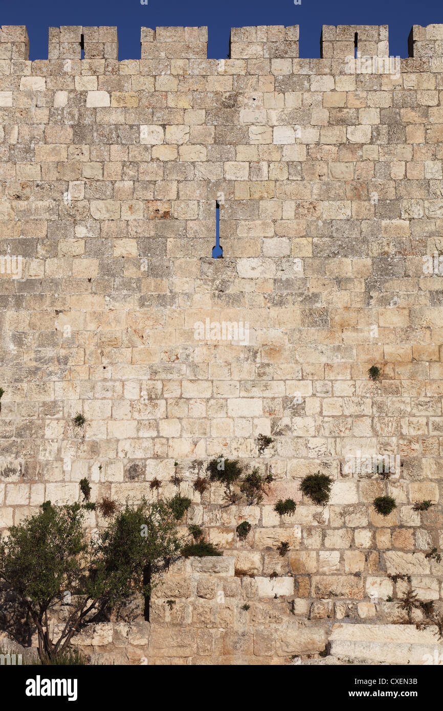Jerusalem citadel sunset hi-res stock photography and images - Alamy