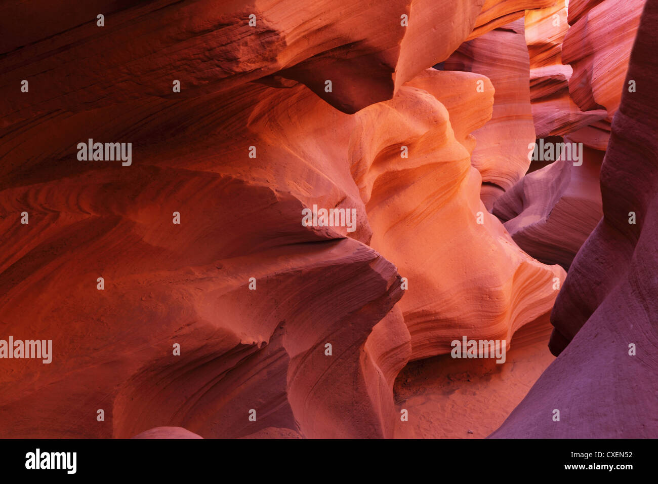 Orange col hi-res stock photography and images - Alamy