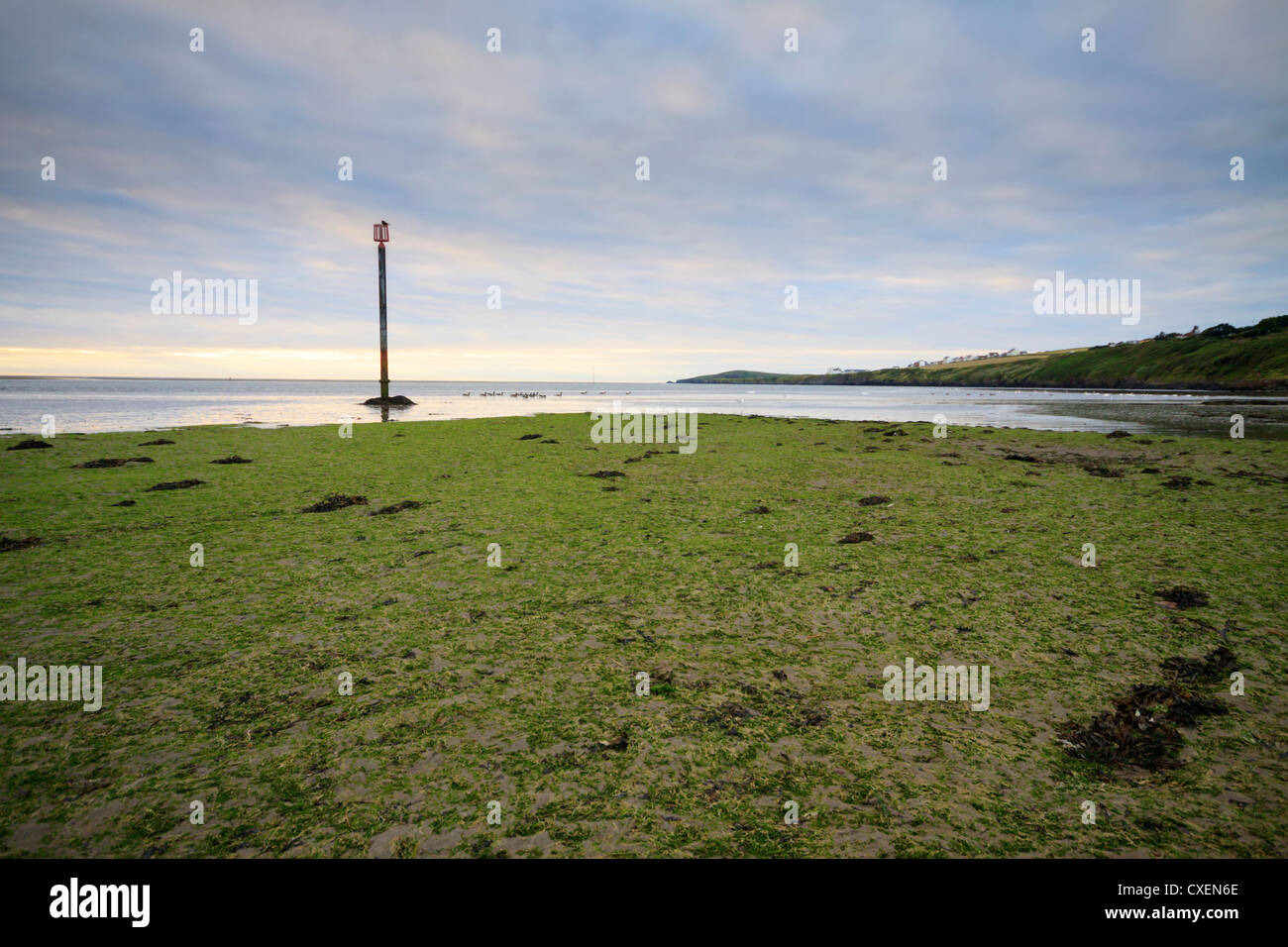 Teifi estuary hi-res stock photography and images - Alamy