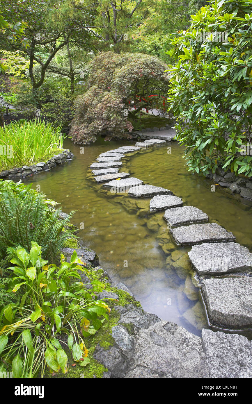 Footpath through a pond Stock Photo - Alamy