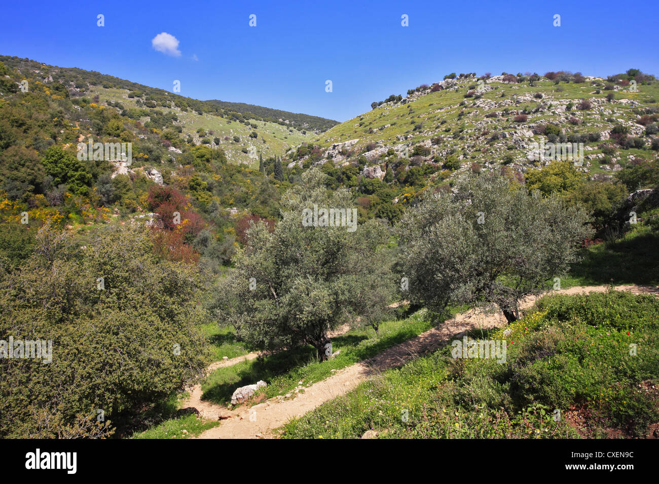 North israel landscape hi-res stock photography and images - Alamy