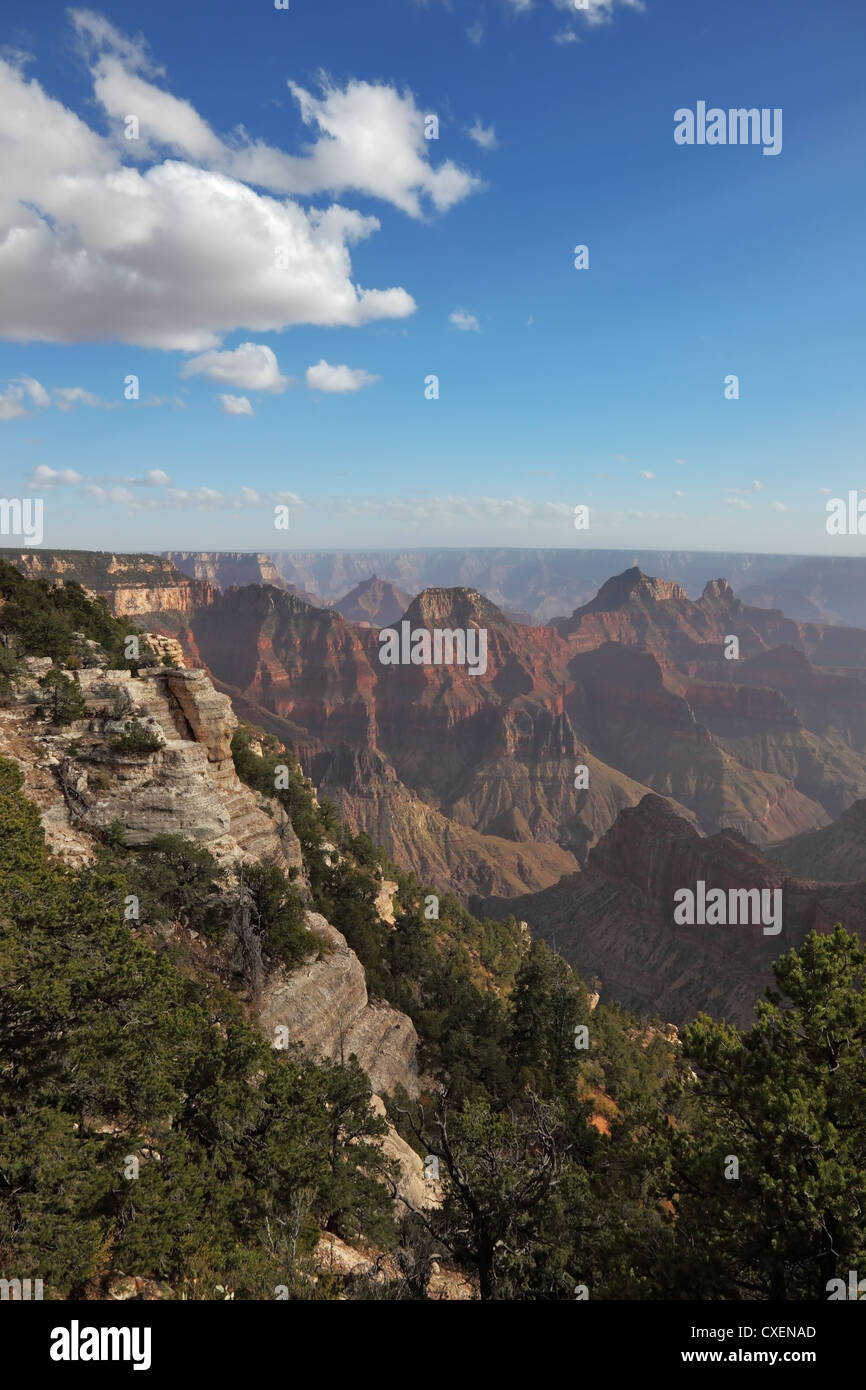 The landscape of the Grand Canyon Stock Photo - Alamy