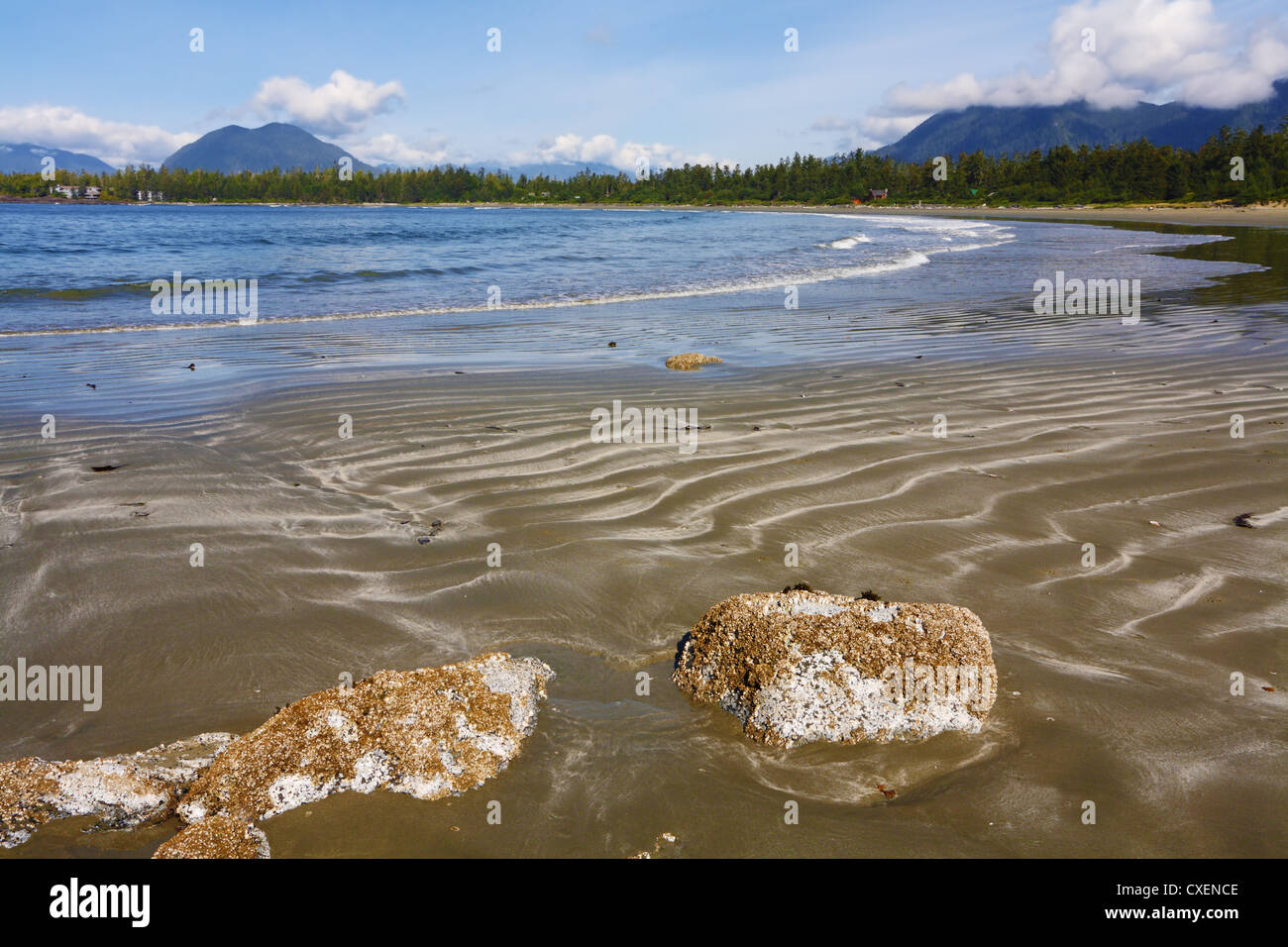 Great pacific hi-res stock photography and images - Alamy