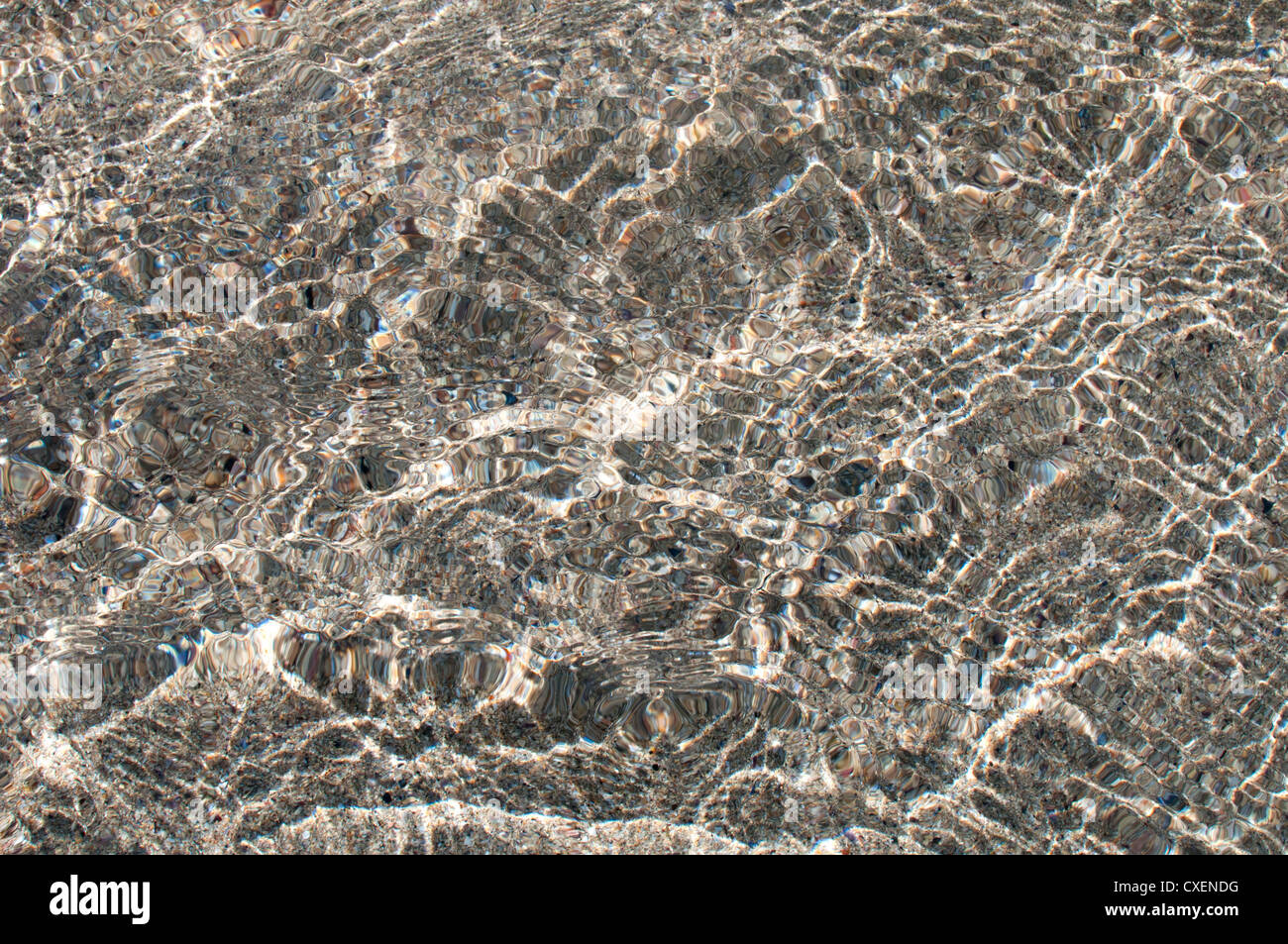 Ripples in sunlight on shallow seawater over shell derived sand with ...