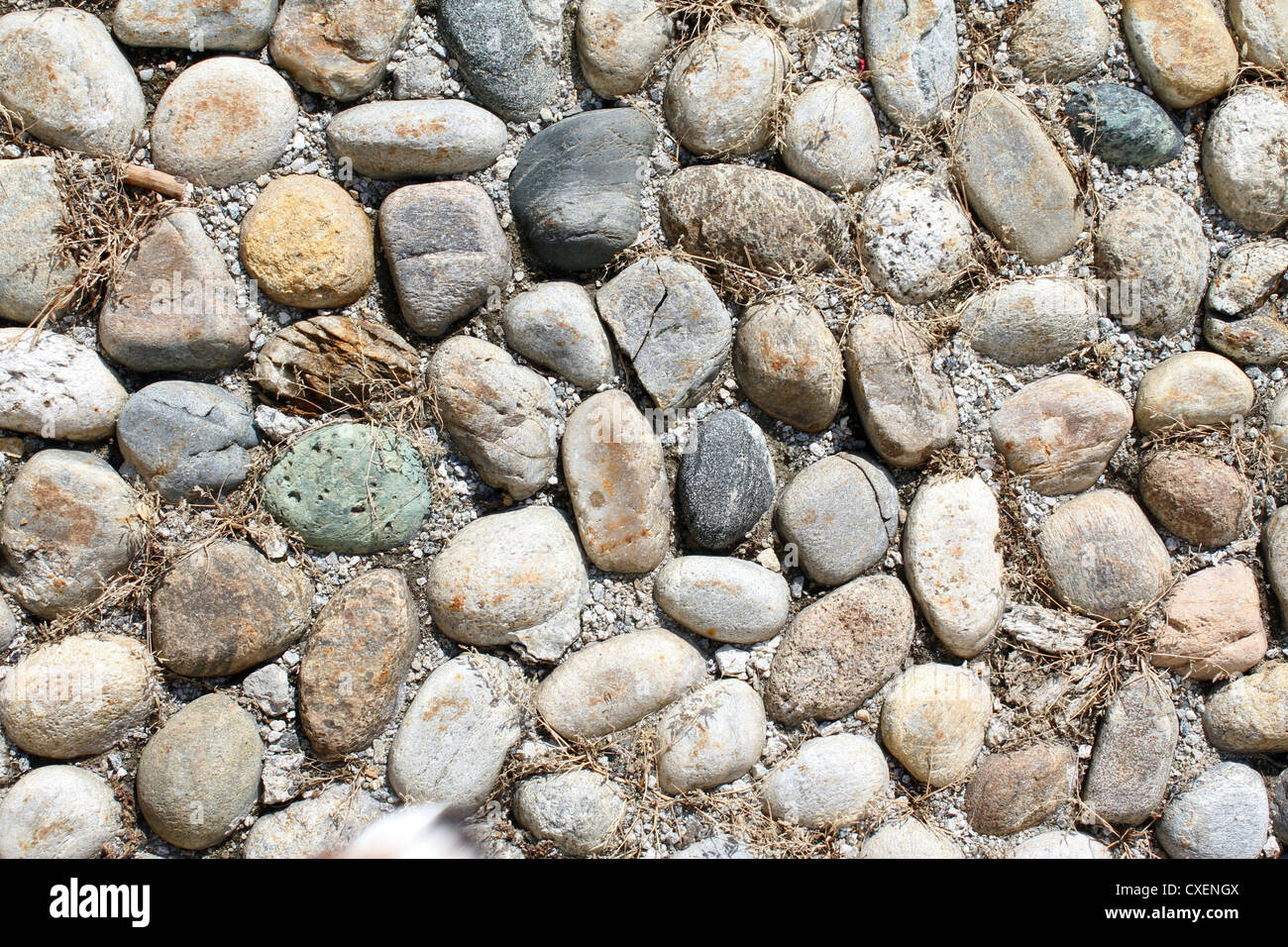 Detail of a cobblestone street Stock Photo - Alamy