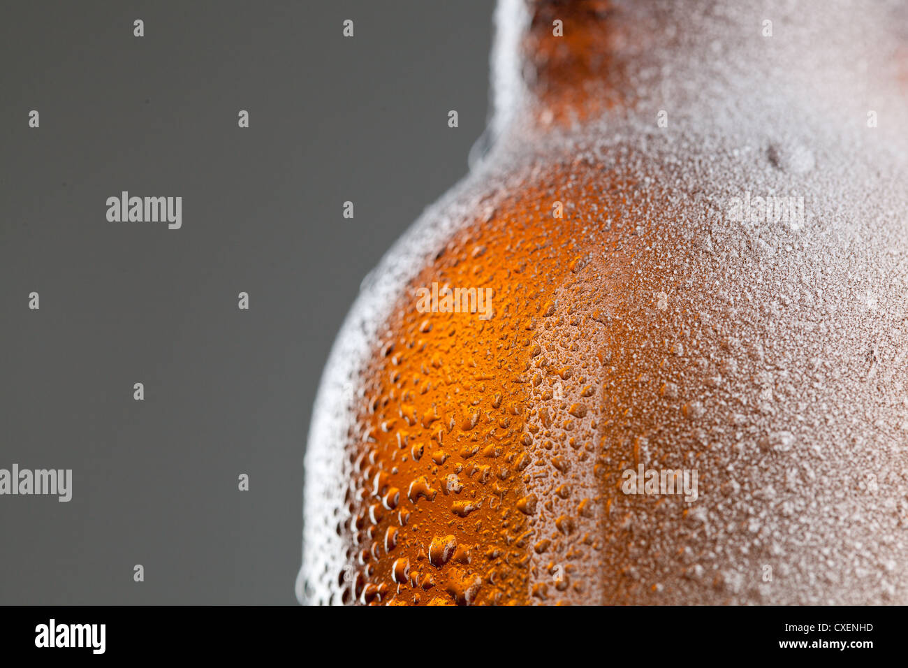 Beer bottle with water drops and frost Stock Photo - Alamy