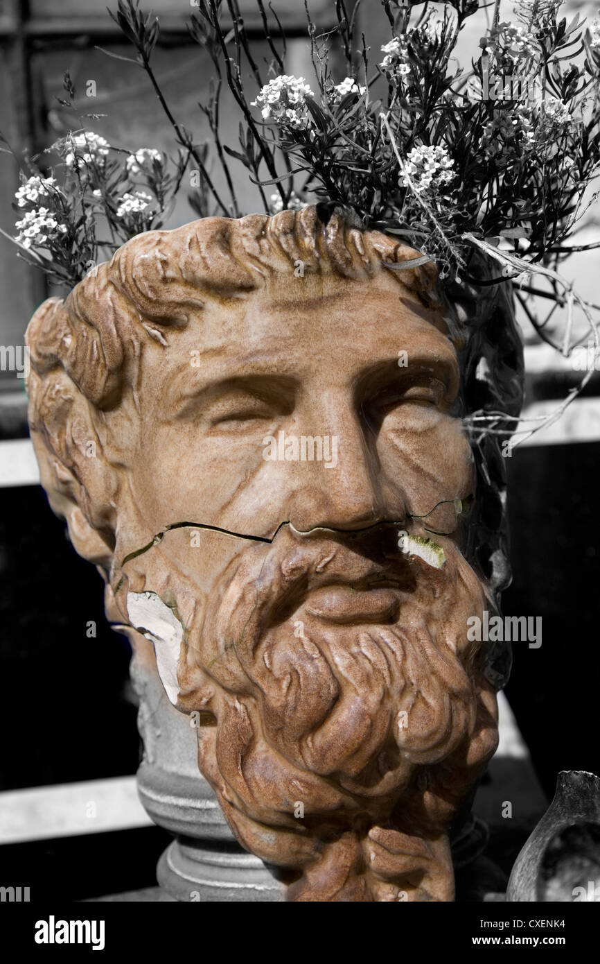 A badly cracked and deteriorating pottery head in use as a flower pot ...