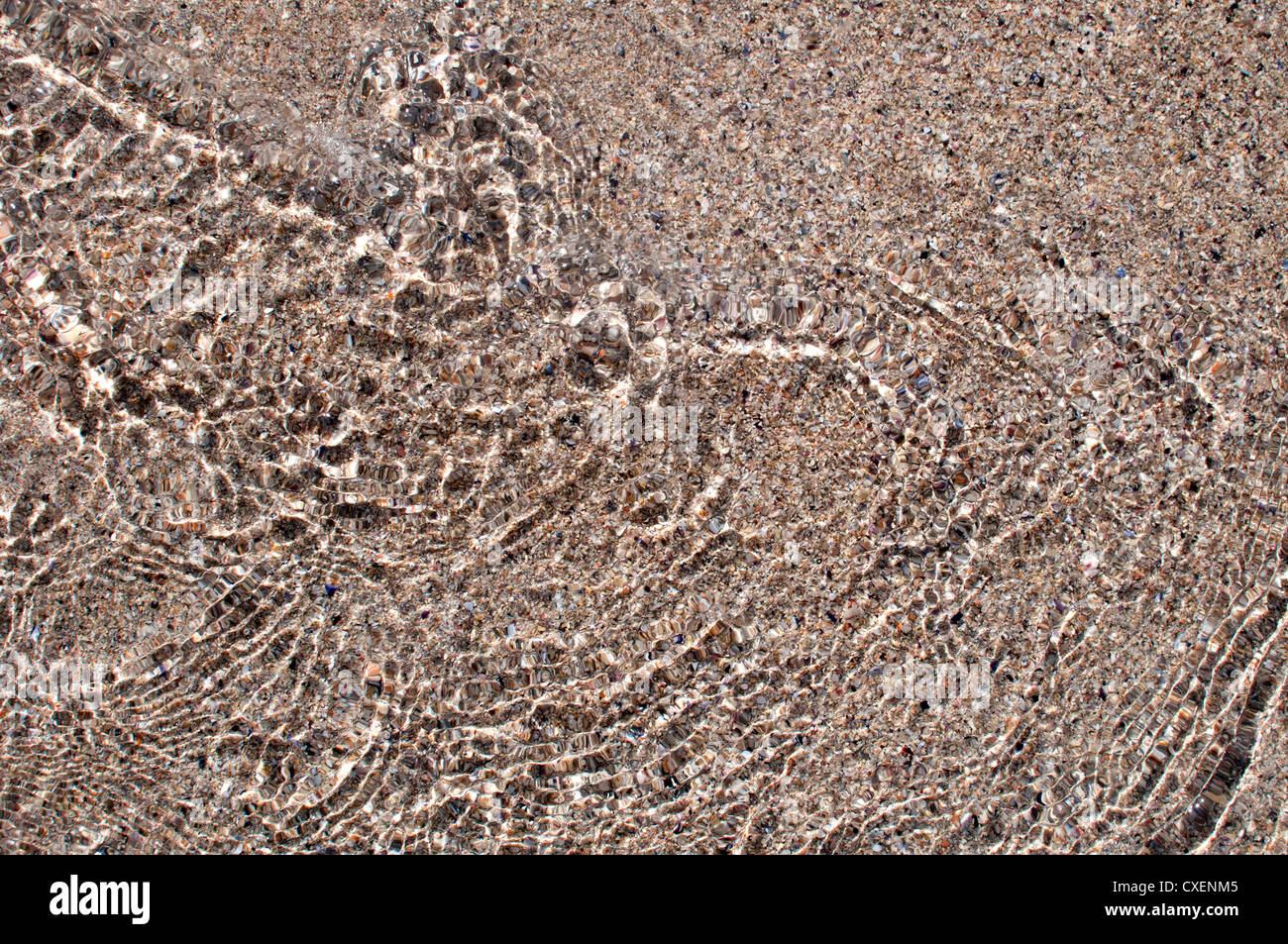 Ripples in sunlight on shallow seawater over shell derived sand with ...