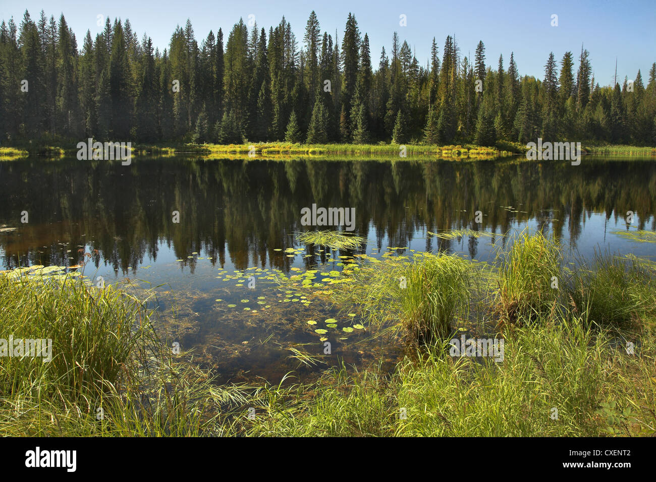 Solar patches of light Stock Photo - Alamy