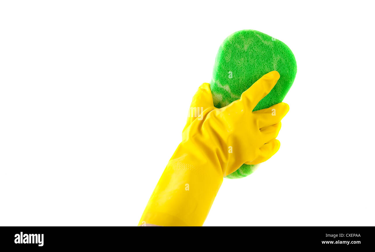 Green sponge hi-res stock photography and images - Alamy