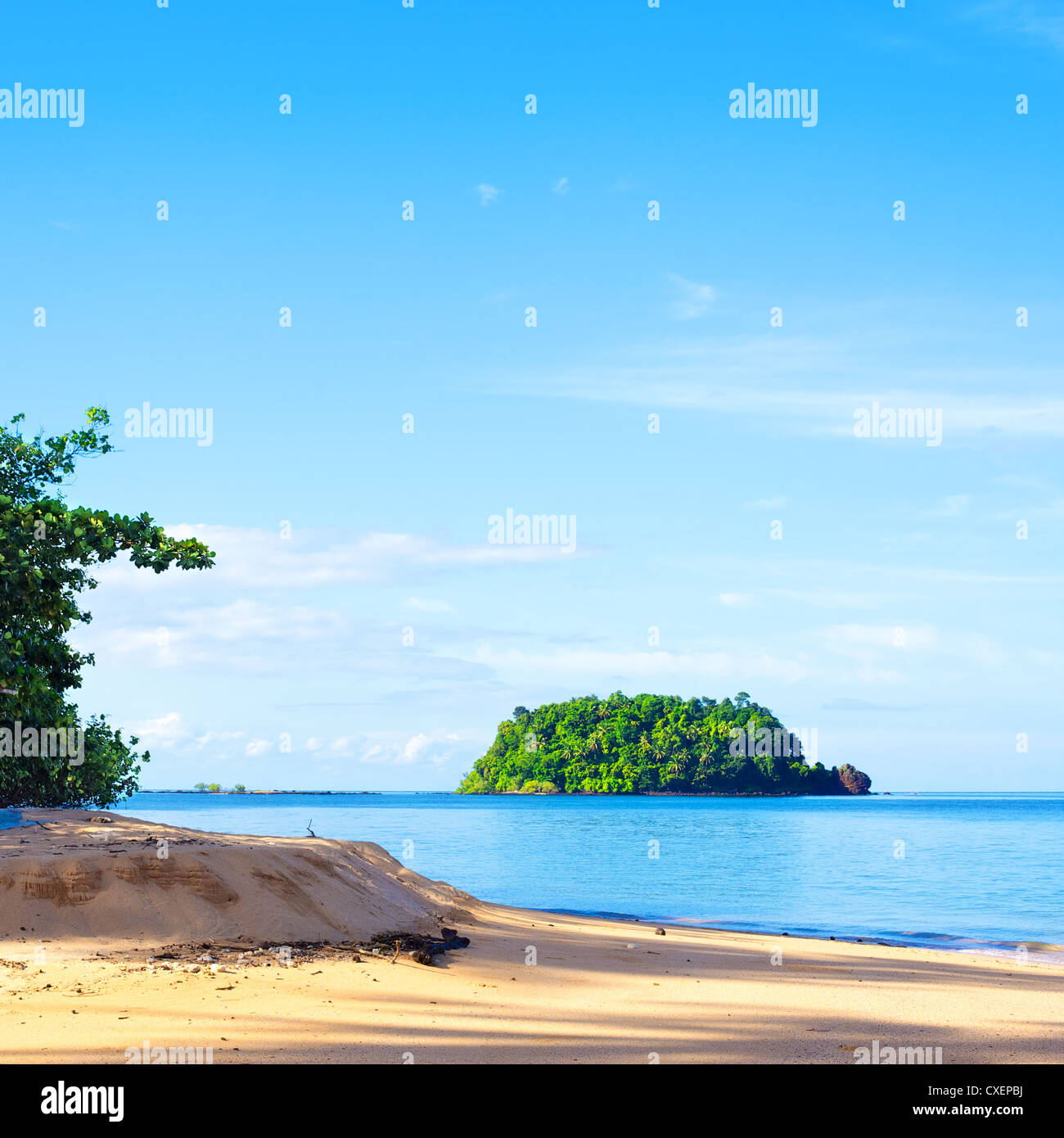 Vaca tropical hi-res stock photography and images - Alamy