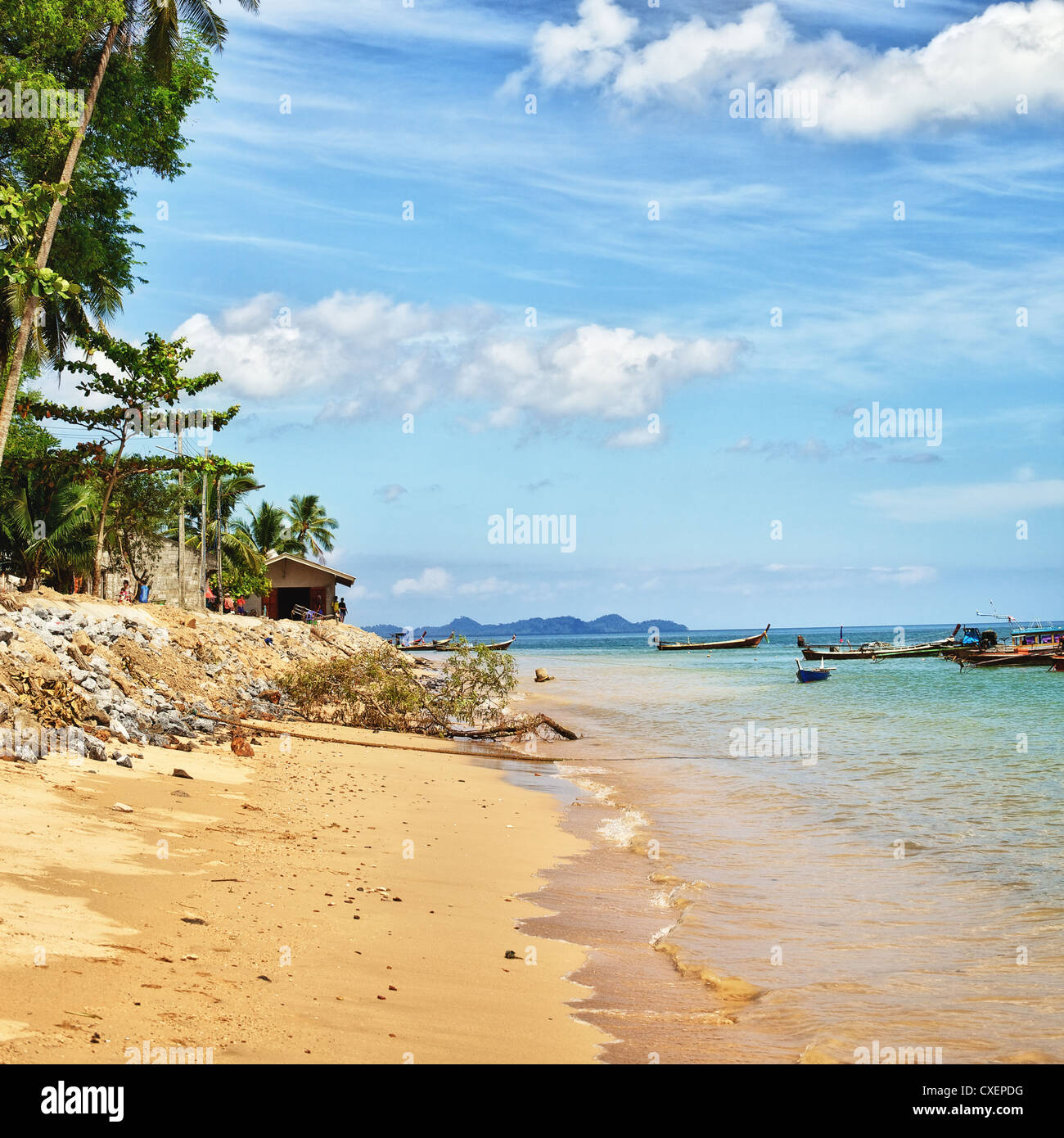 Tranquil tropical beach jungle hi-res stock photography and images - Alamy
