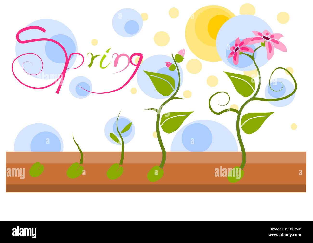 Plant vegatation in spring time - vector illustration Stock Photo - Alamy