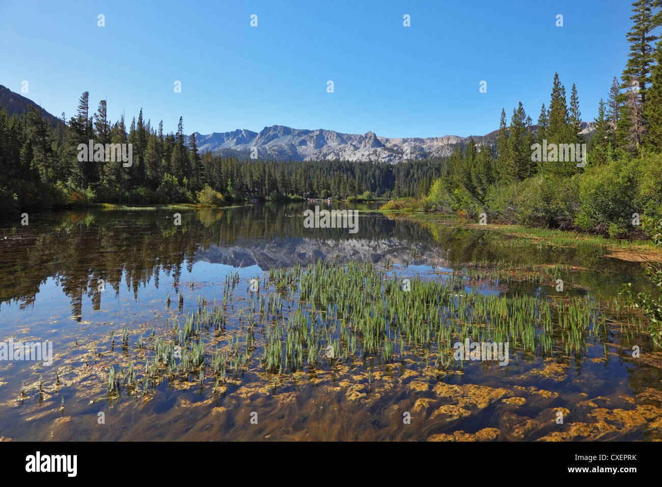 Shallow lake hi-res stock photography and images - Alamy