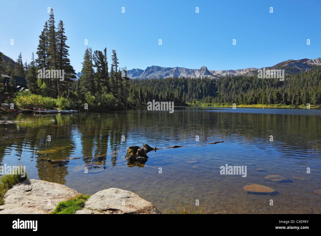 Charming shallow lake Stock Photo - Alamy