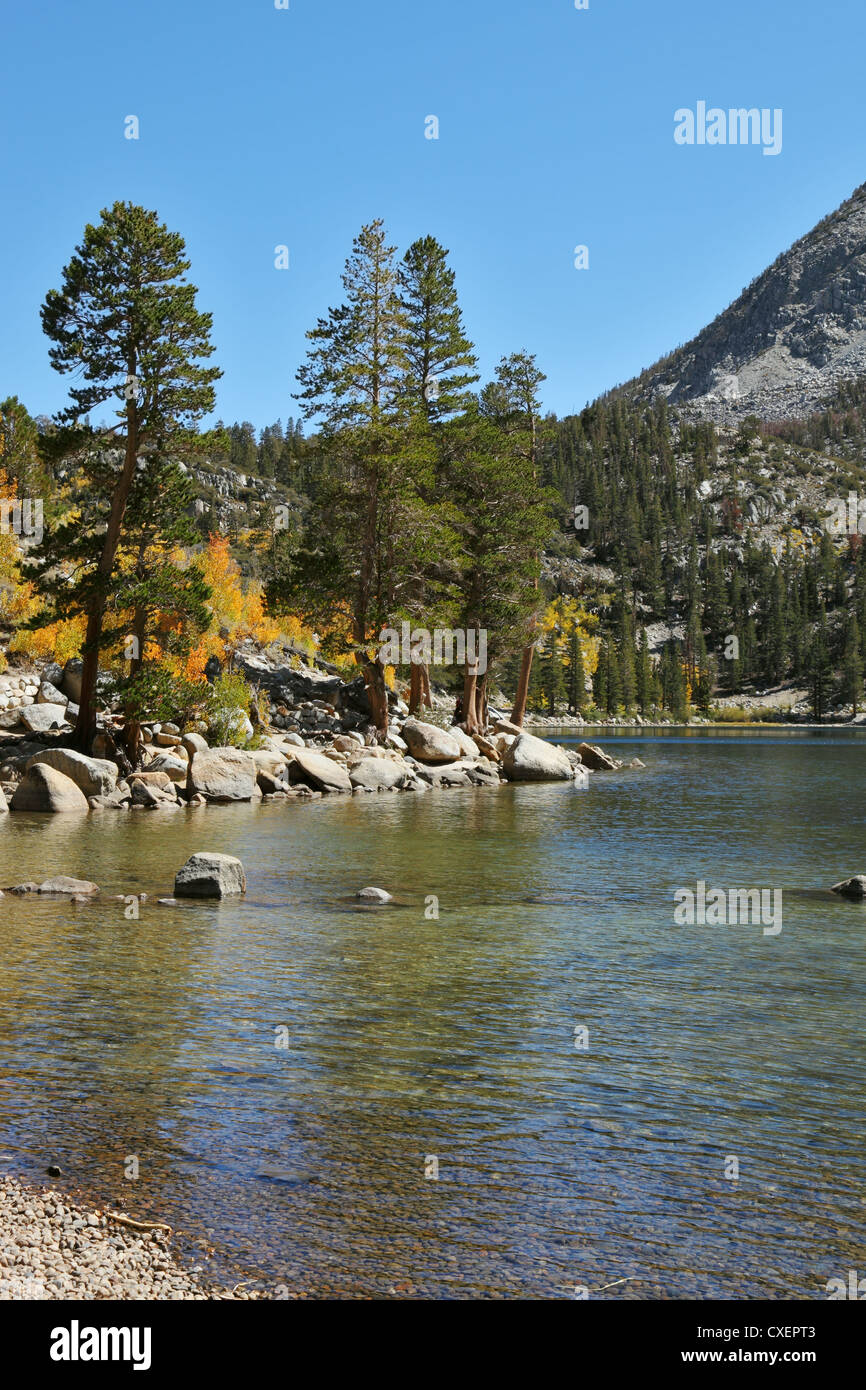 American gold landscape hi-res stock photography and images - Alamy