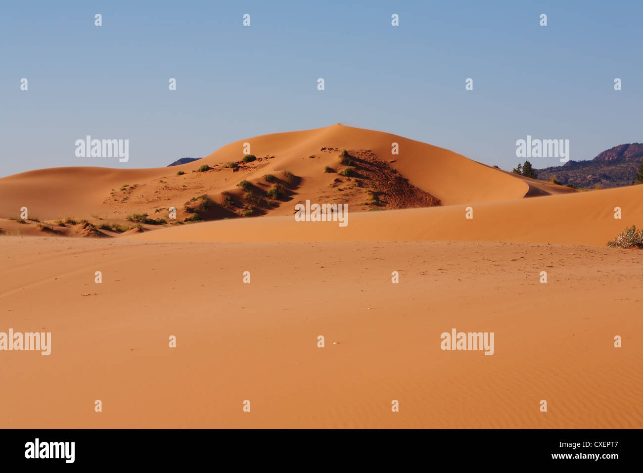 The glow of the sand Stock Photo - Alamy