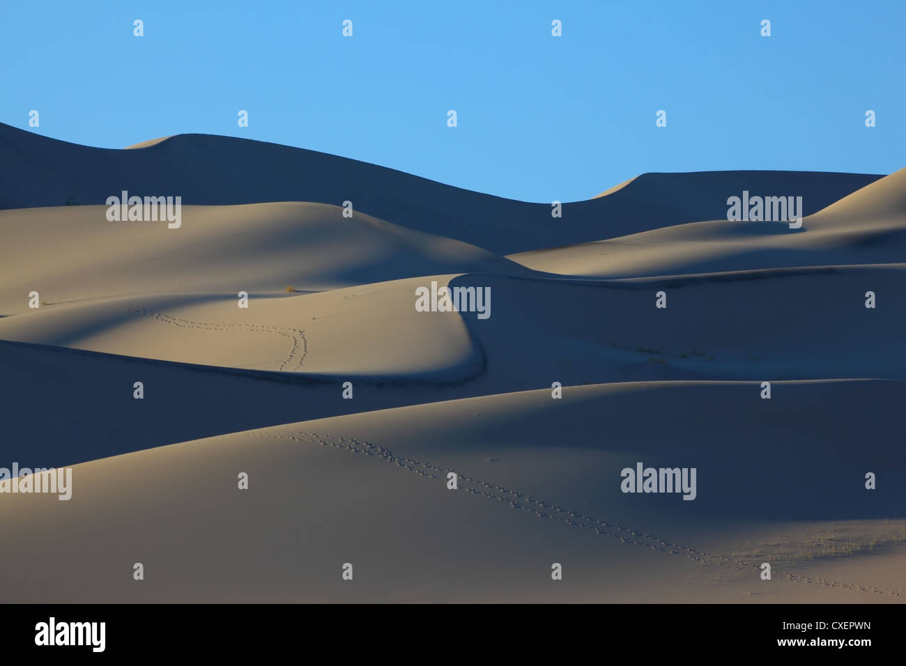 Cold blue shades Stock Photo - Alamy