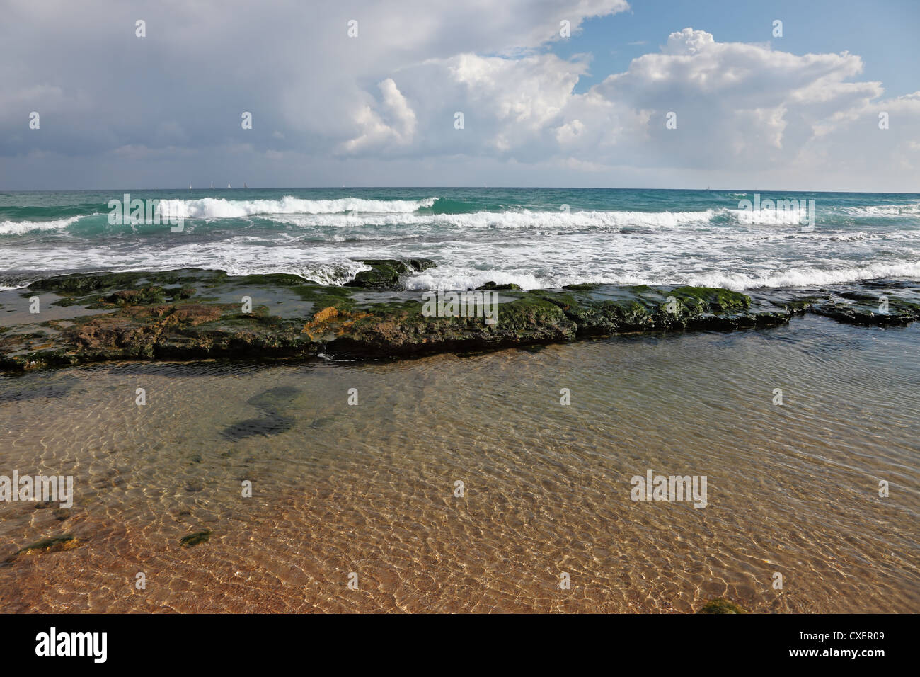 Warm in january hi-res stock photography and images - Alamy