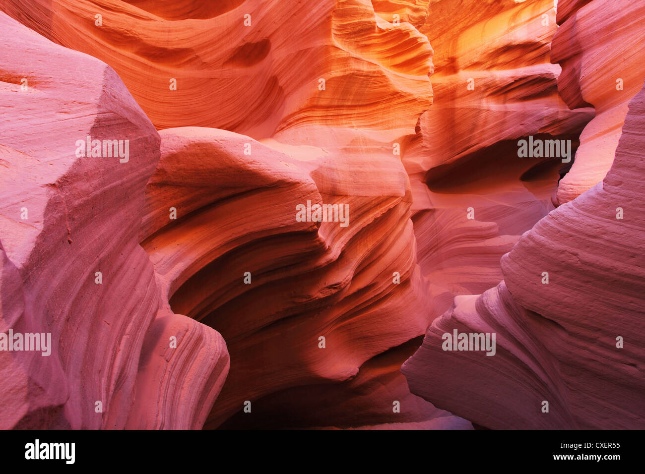 Magic play the red colors Stock Photo - Alamy